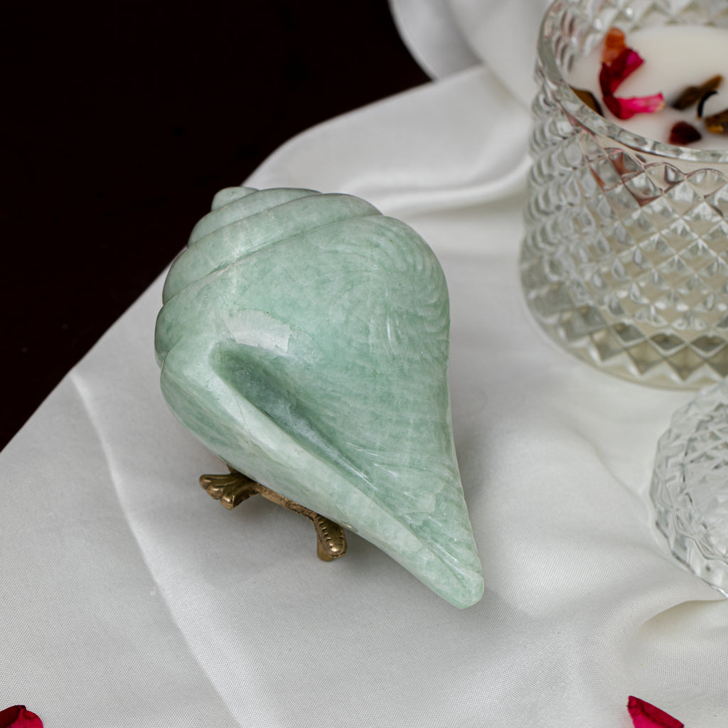 Buy Amazonite Counch Online | Home Decor Item – GemAnatomy